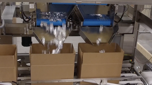 High Speed Bulk Case Packing System for Major Food Producer | Packaging ...